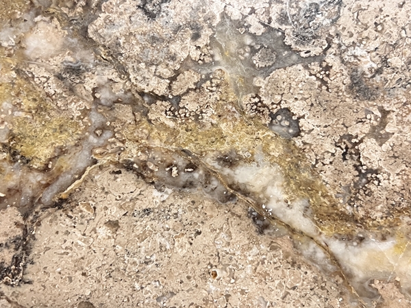 Stalatite Golden Beach-Lot 0640, 2cm Polished | Arena Stone NJ