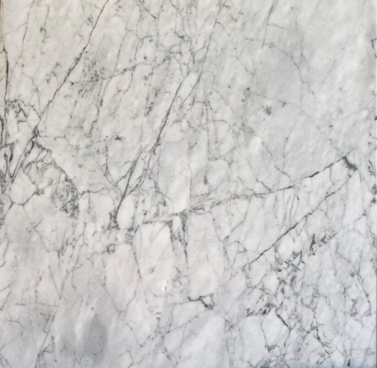 Venatino Statuarietto Marble Tile – Lot 0020, 24×24