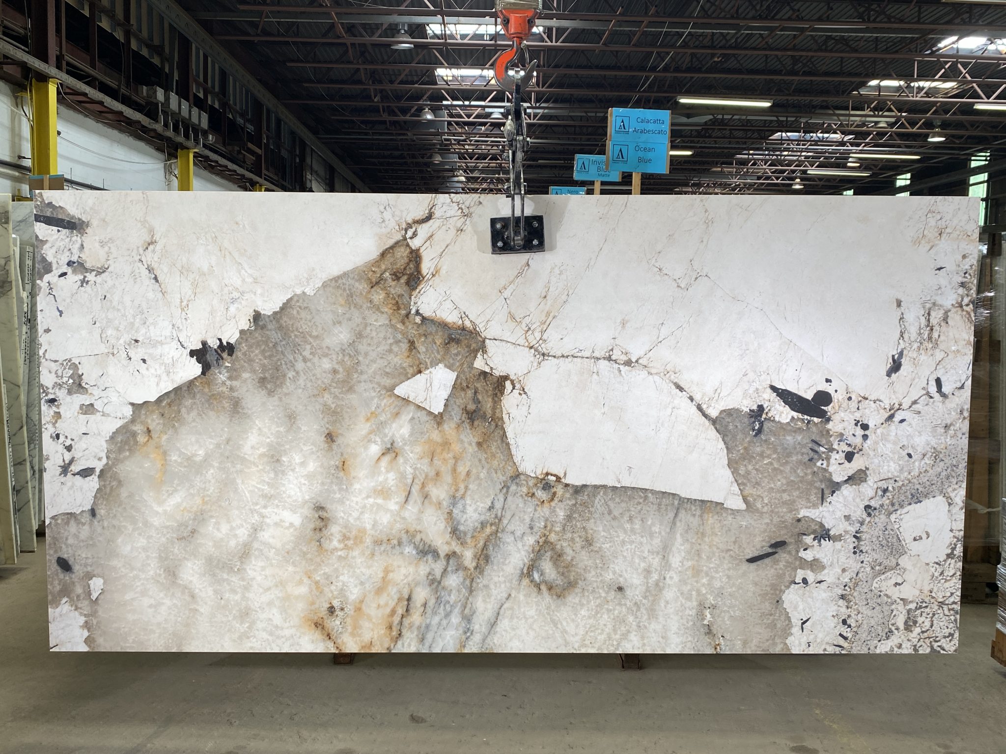 INFINITY: Magellano OC04