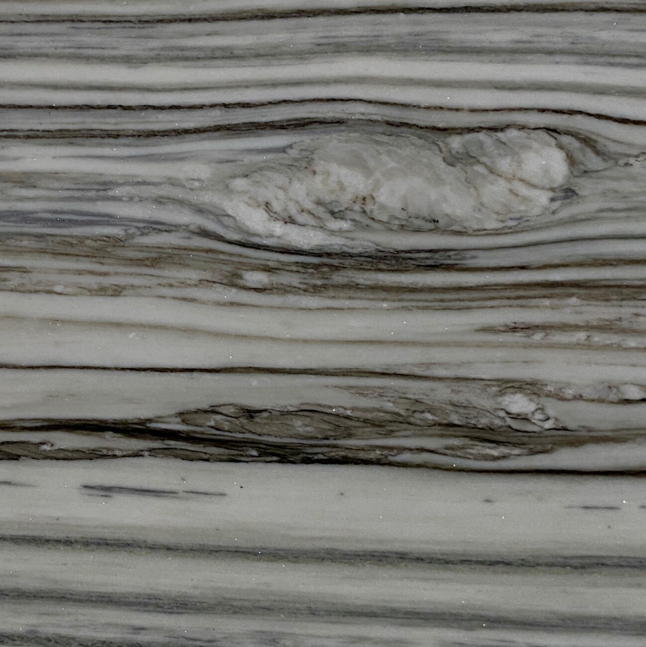 Zebrino Apuano – Lot 2281, 2cm Polished