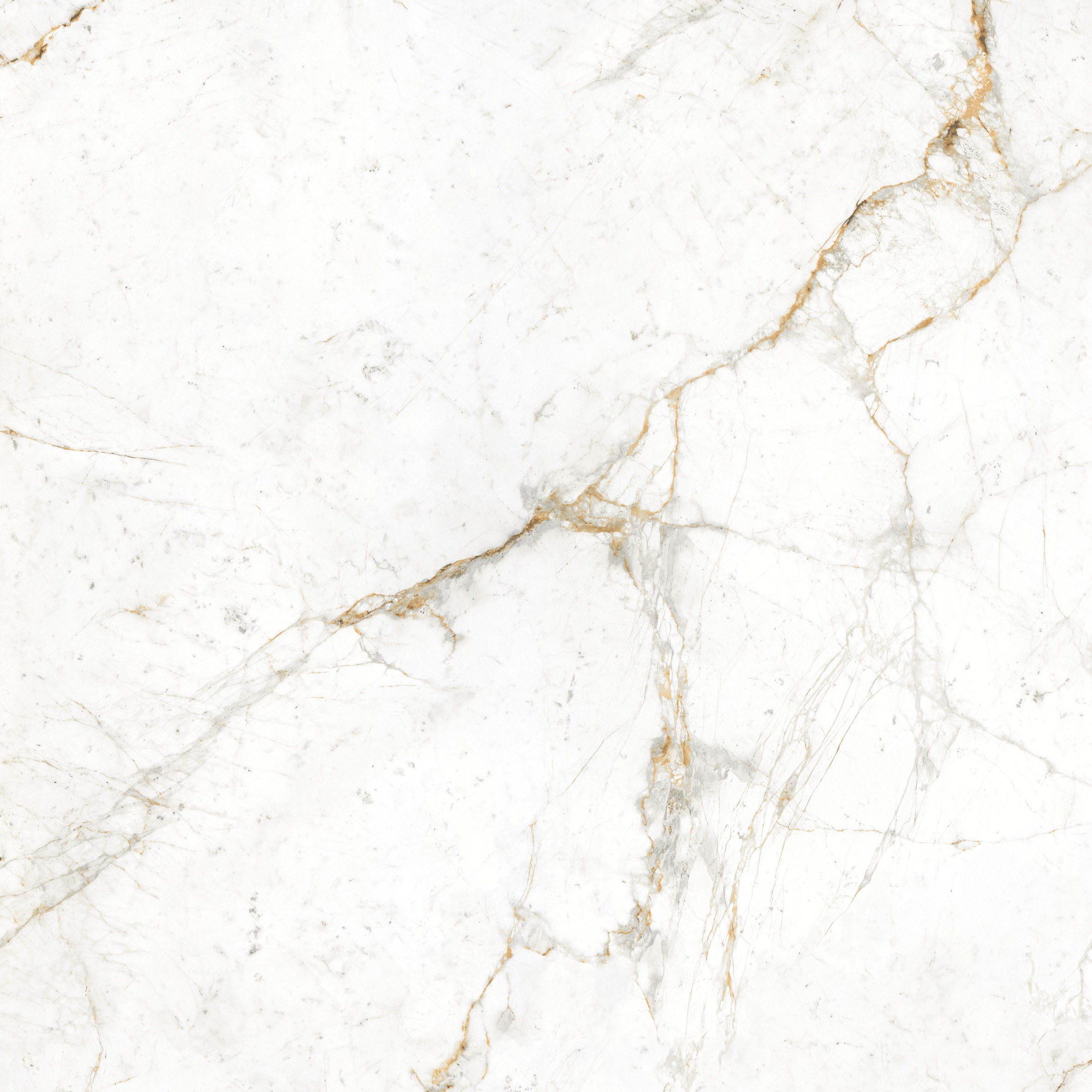 Bianco Namibia – 12mm Polished/Honed